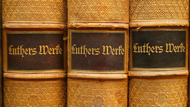 5th commandment luther's small catechism